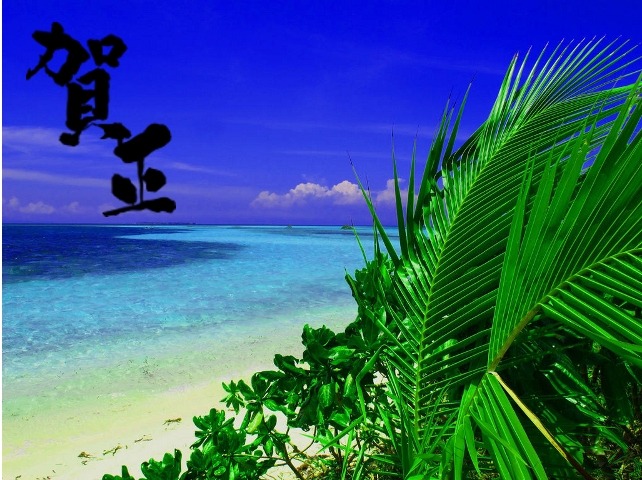 DEBUO日記2: 本年も宜しくお願い申し上げます。